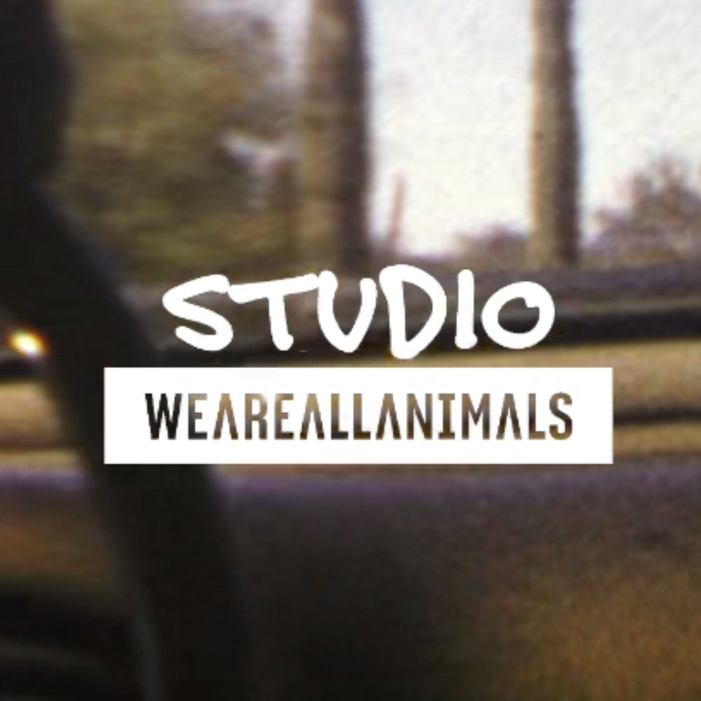 STUDIO WEAREALLANIMALS – LIOT